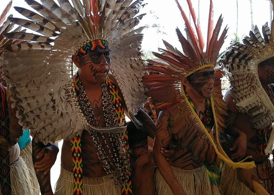 Sobre diversos aspectos de la tribu Katukina.